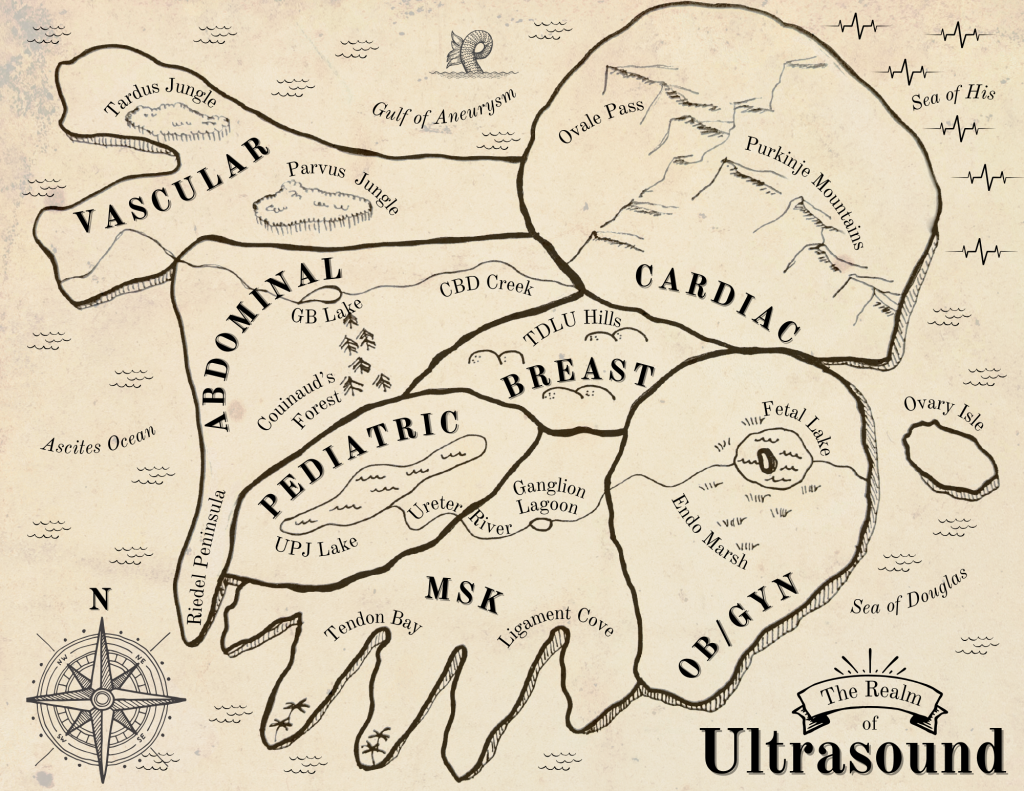 Finding Your Niche: Specialty Fields in Ultrasound - ESP ULTRASOUND